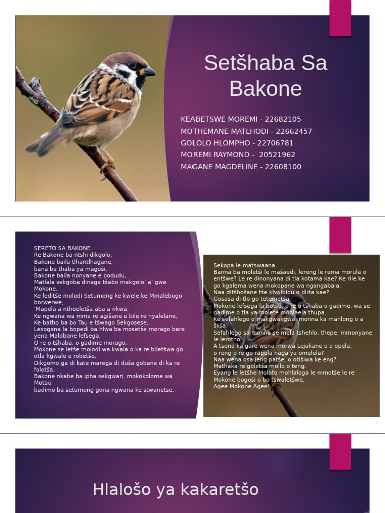 Sereto sa Bakone: Tlhantlhagane le Lenong | PDF