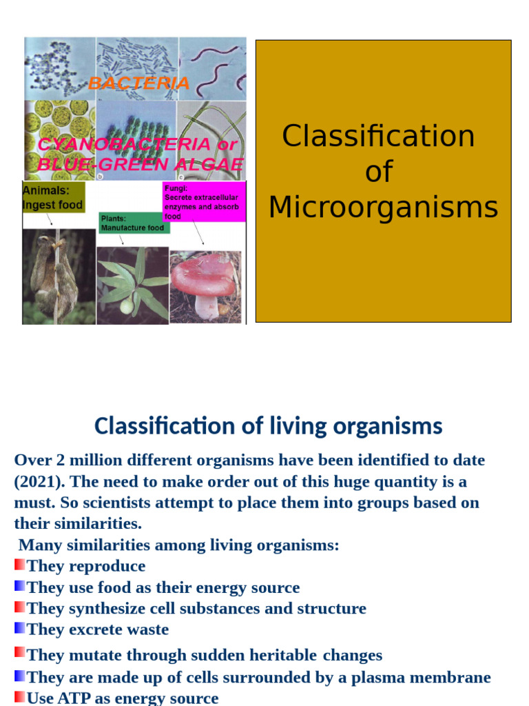 Introductory Microbiology Lecture 3 Classification | PDF | Bacteria ...