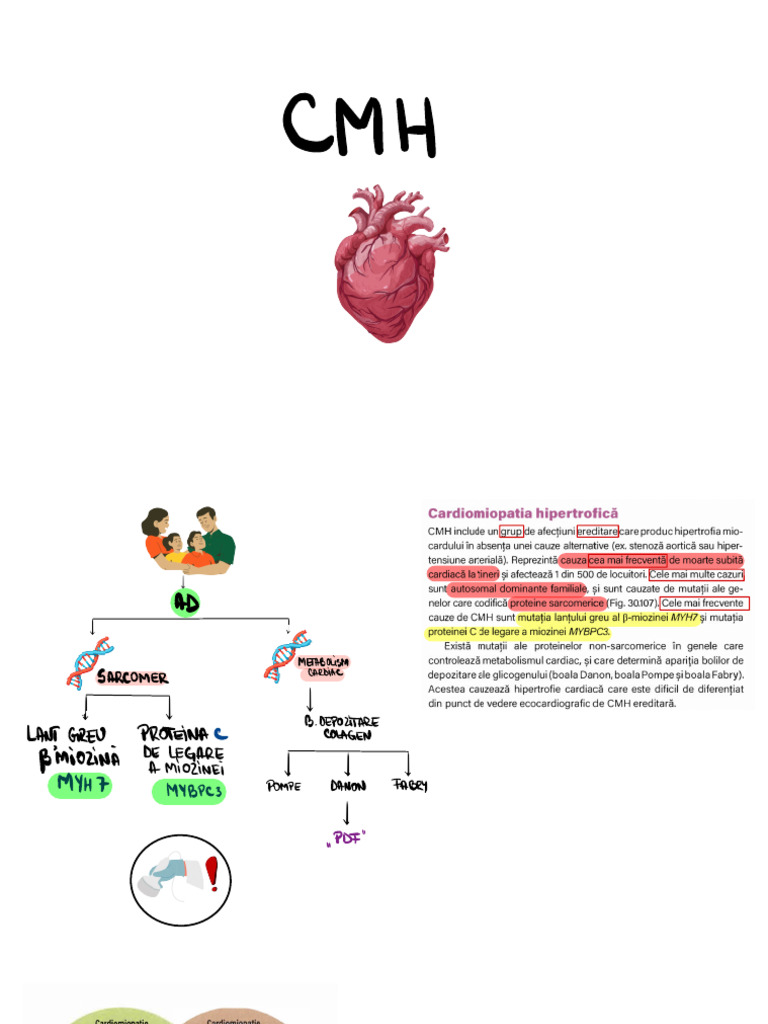 CMH | PDF