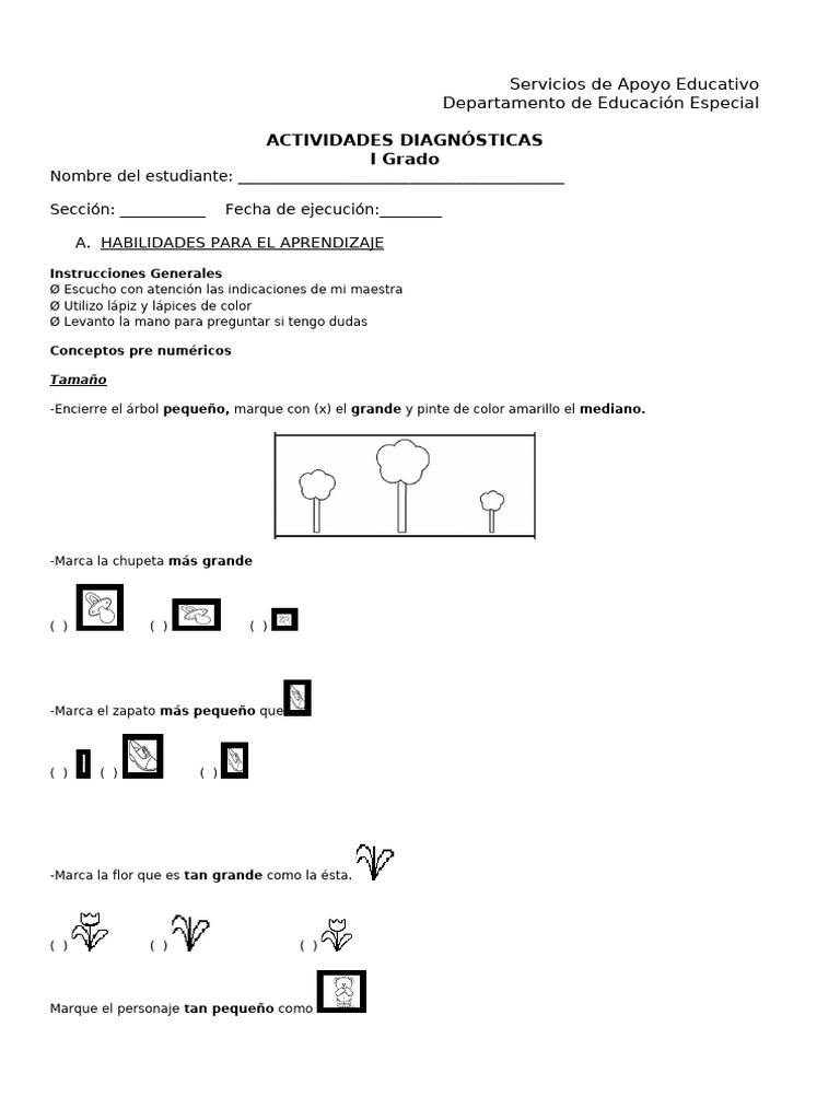 Prueba Diagnostica Kinder I Grado | PDF