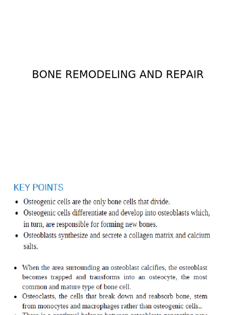 Bone Remodeling and Repair | PDF