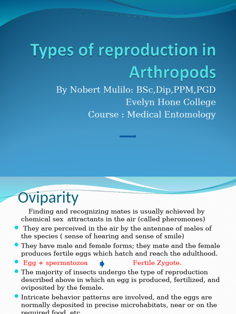 4.types of Reproduction in Arthropods | PDF | Egg | Insects