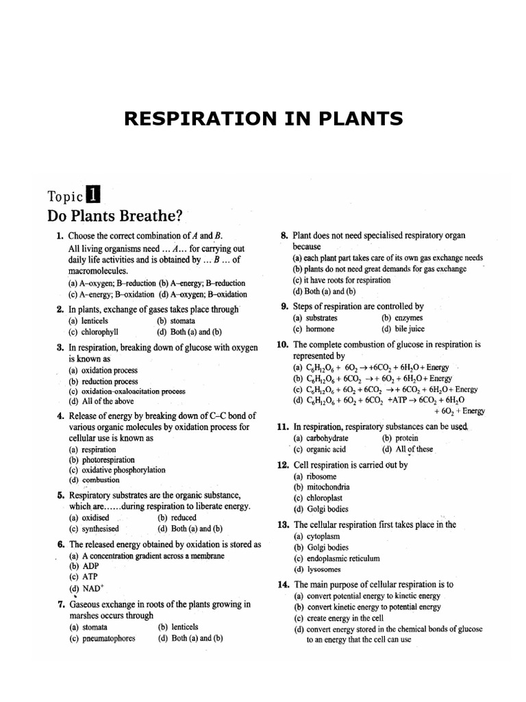 11 - 14 - Respiration in Plants | PDF