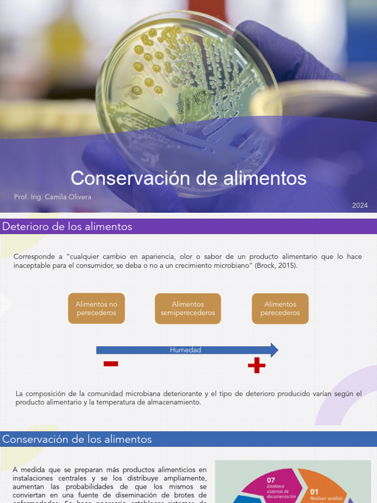 Conservación de Alimentos | PDF | Alimentos | Conservación de los alimentos
