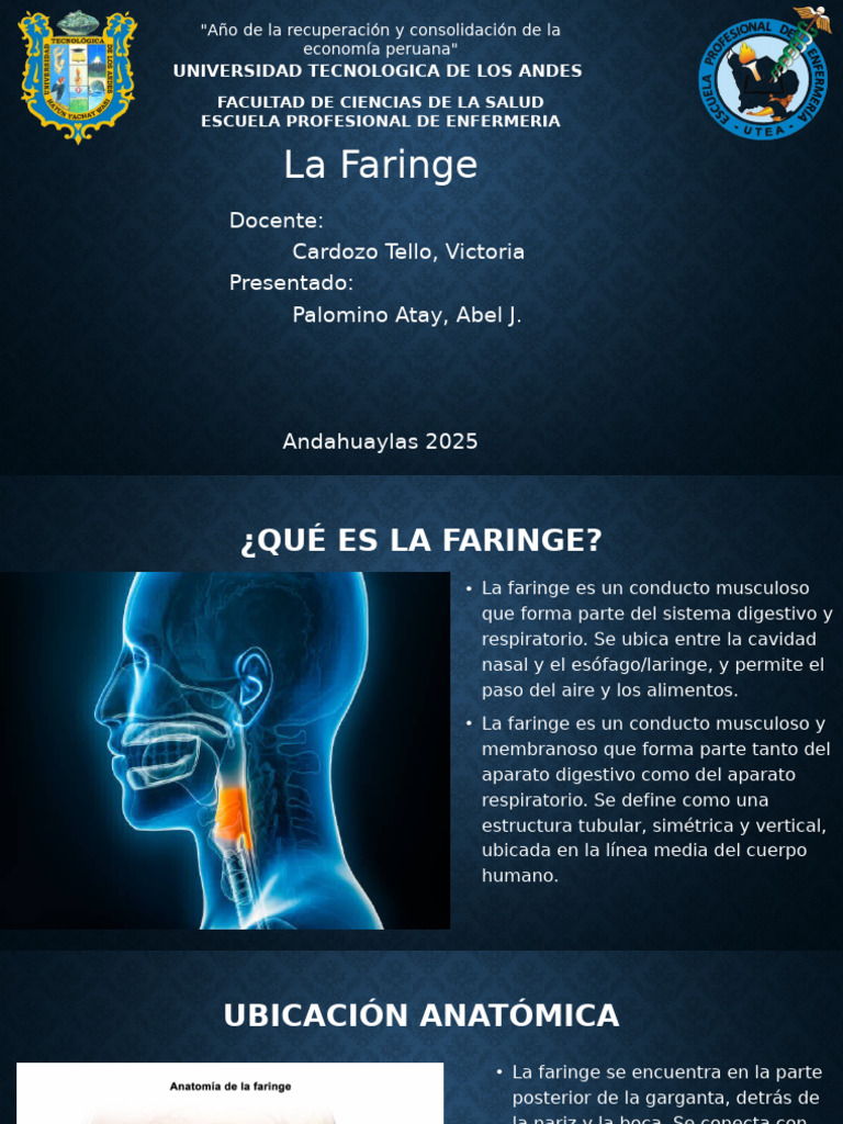 La Faringe: Docente: Cardozo Tello, Victoria Presentado: Palomino Atay ...