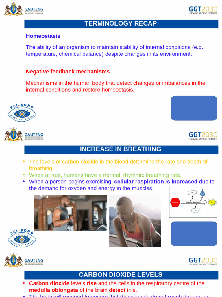 Life Sciences Gr.11 Lesson 38 Homeostasis of Carbon Dioxide Levels ...