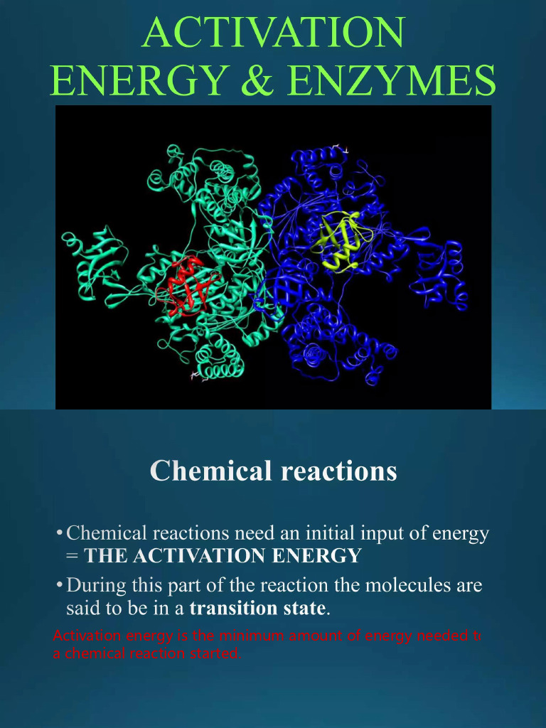 Activation Energy and Enzymes | PDF