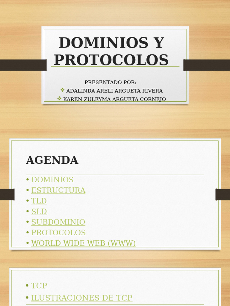 Dominios y Protocolos. INFORMATICA | PDF | Red mundial | Internet y web