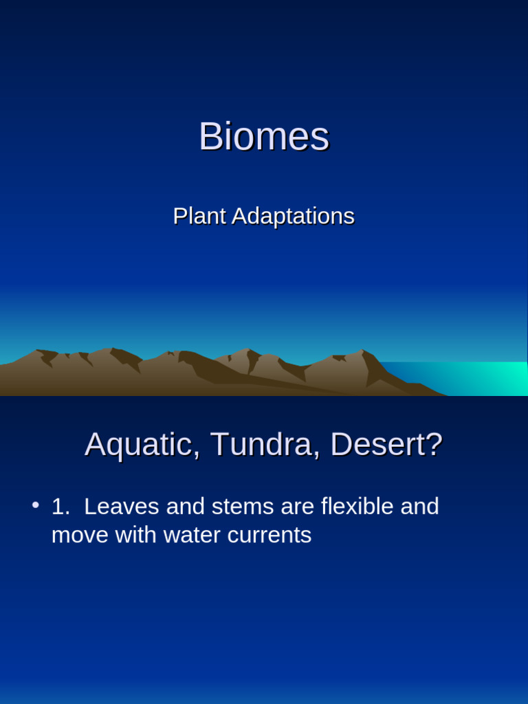 Desert Plant Adaptations Explained | PDF