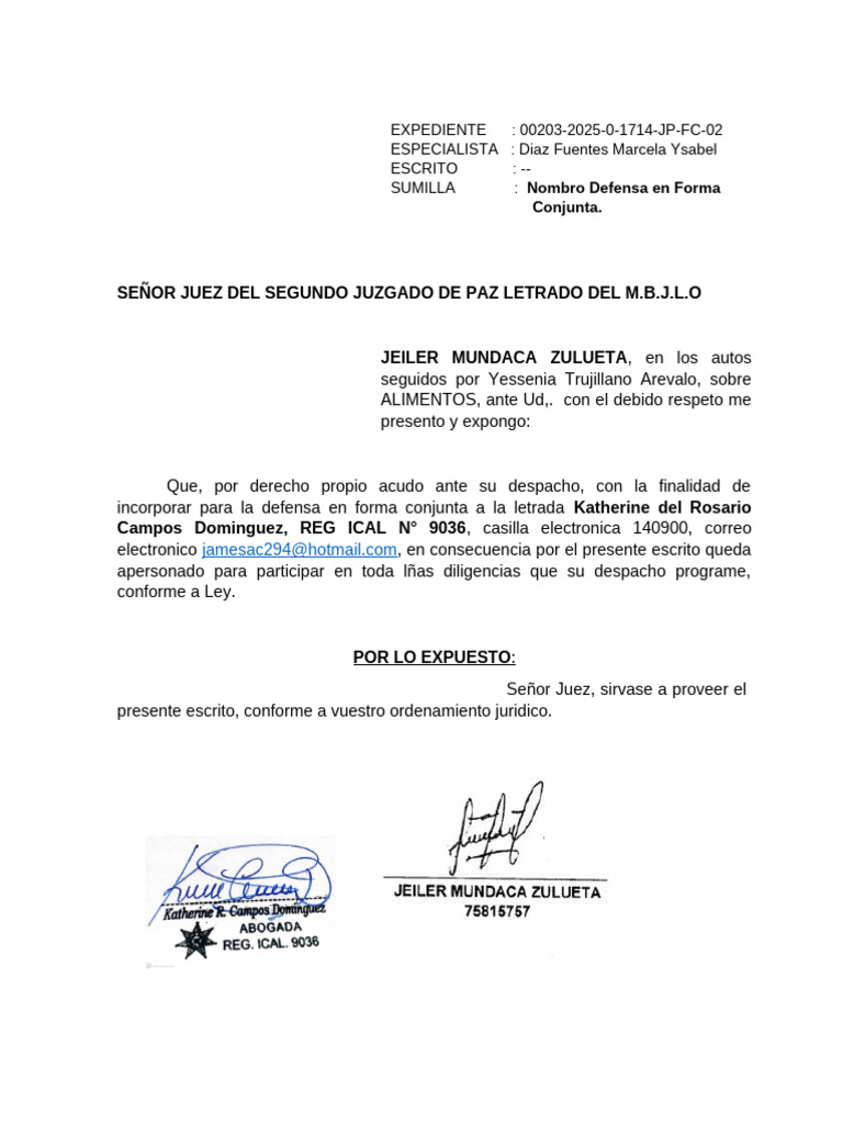 Defensa Conjunta en Caso de Alimentos | PDF