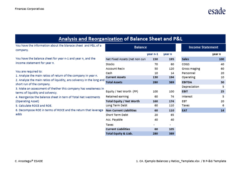 1000 Example Balances Ratios Situation | PDF | Balance Sheet | Equity ...