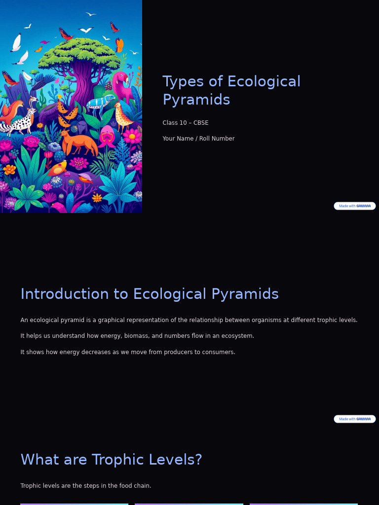 Types of Ecological Pyramids Explained | PDF | Food Web | Biomass (Ecology)