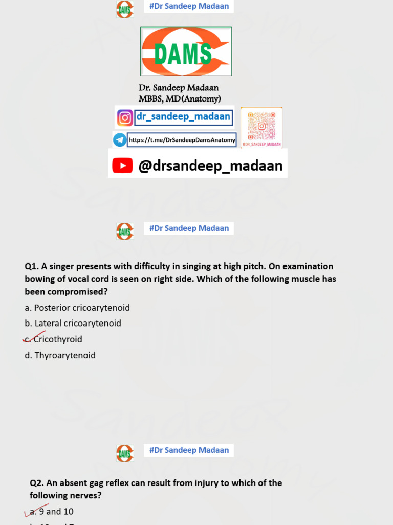 Anatomy NEET PG 2024 Recall Annotated | PDF | Thumb | Foot