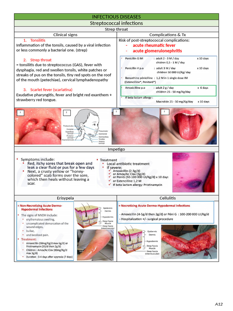 ID11 Streptococcal Infection | PDF