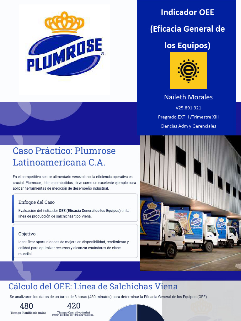 Caso Practico Plumrose Latinoamericana CA | PDF