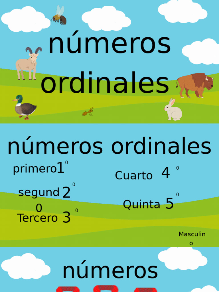 Números ordinales y posiciones de animales | PDF
