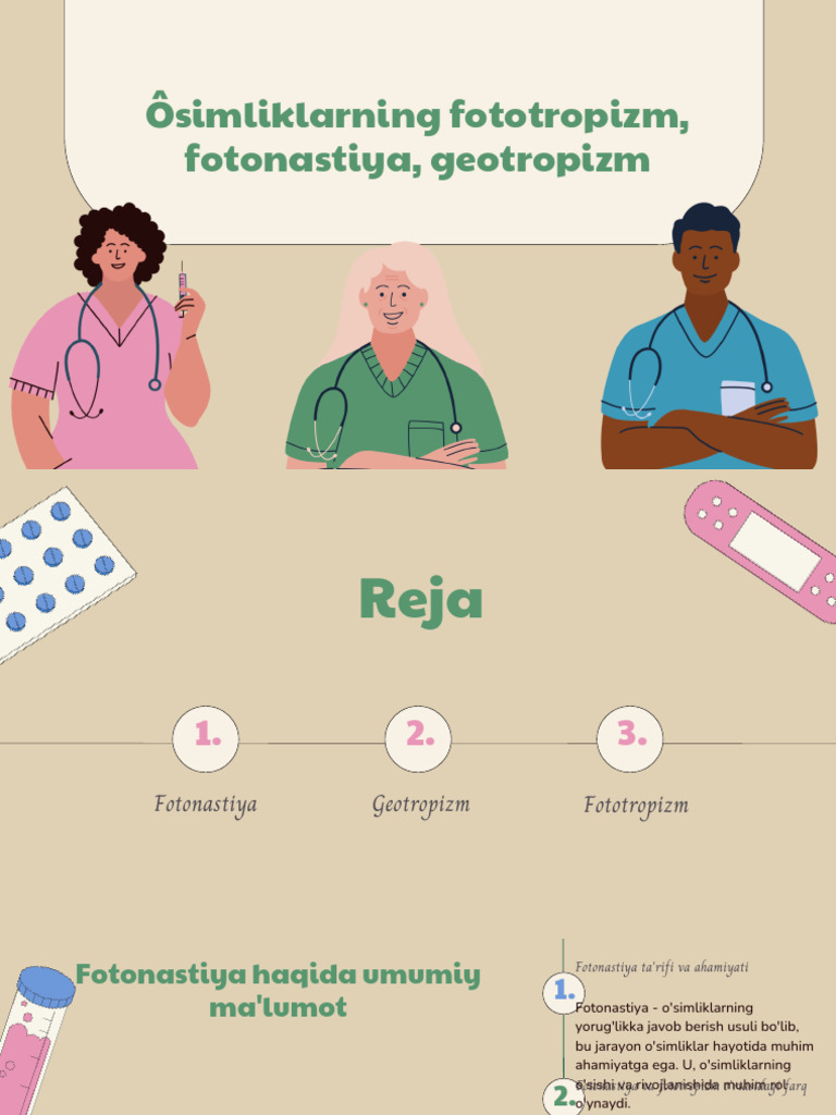 Ôsimliklarning Fototropizm, Fotonastiya, Geotropizm - PPTX - 20251028 ...
