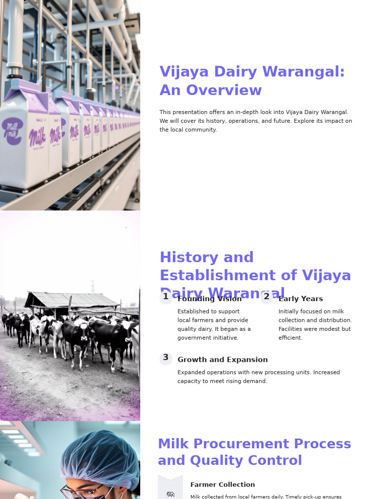 Vijaya Dairy Warangal Overview & Impact | PDF | Milk | Dairy
