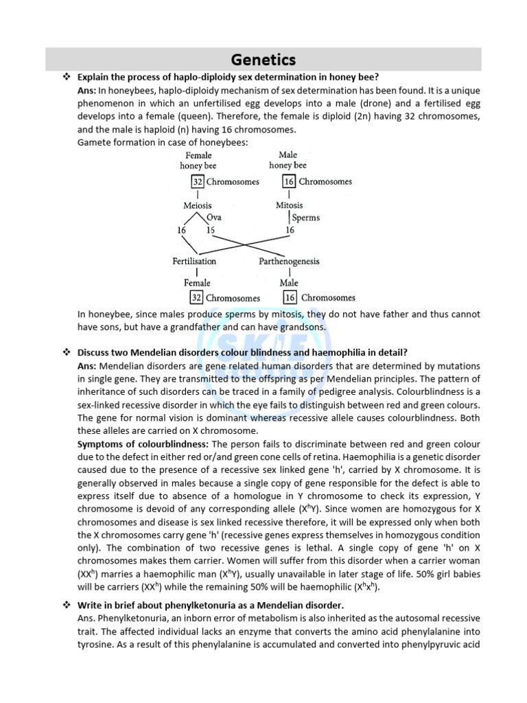 Genetics Notes Class 12th | PDF | Dna Profiling | Genetics