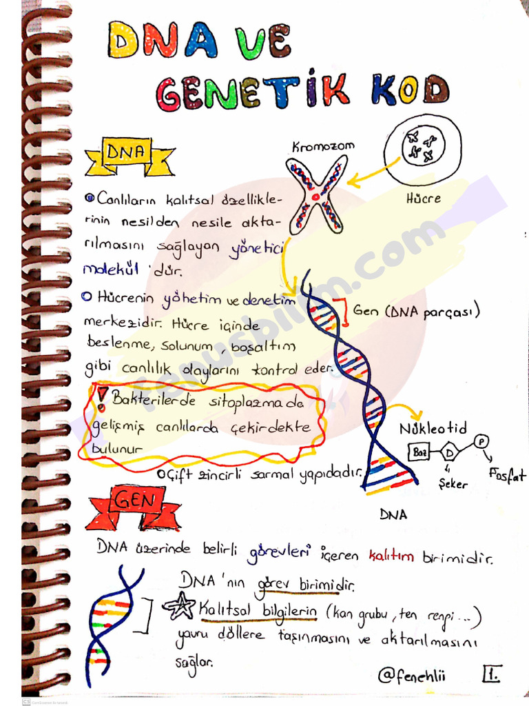 Dna Ve Genetik Kod Kalitim Fenusbilim Ders Notu - 251005 - 100123 | PDF