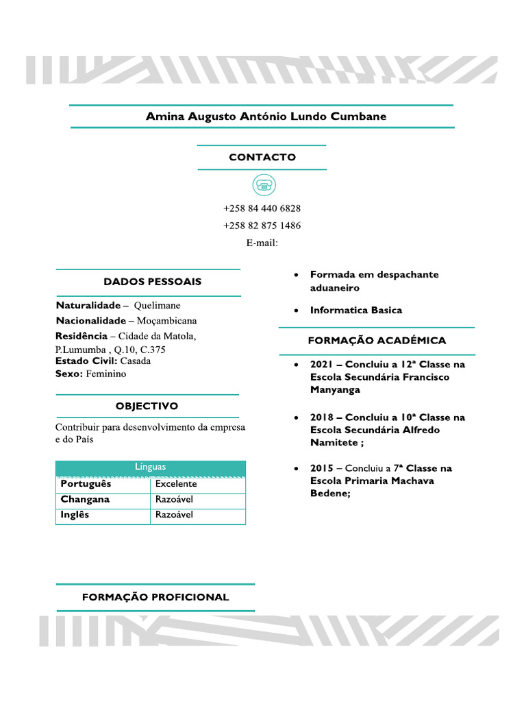 CV Amina | PDF