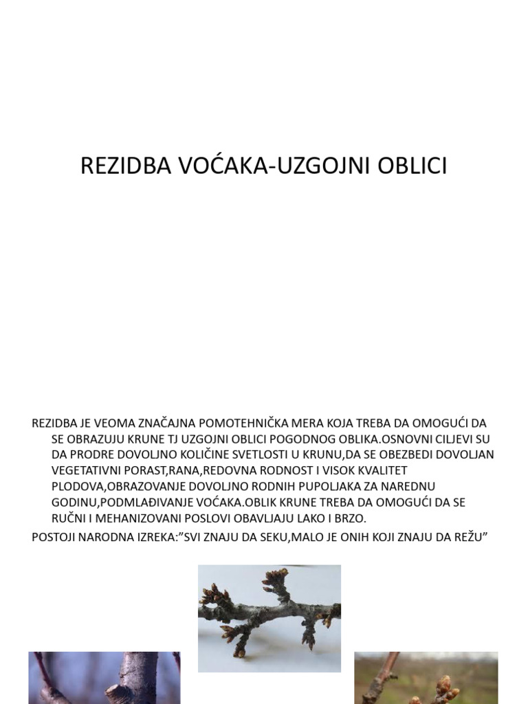 Rezidba Vocaka Uzgojni Oblici | PDF