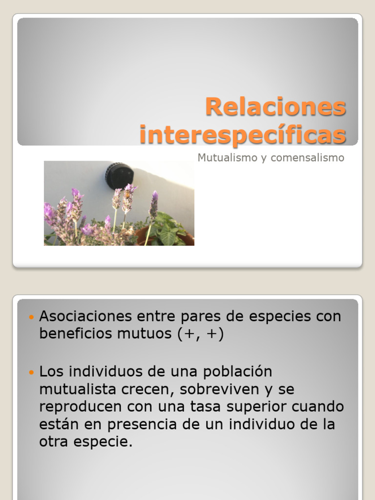 Relaciones Interespecíficas Mutualismo Comensalismo | PDF | Hongo ...