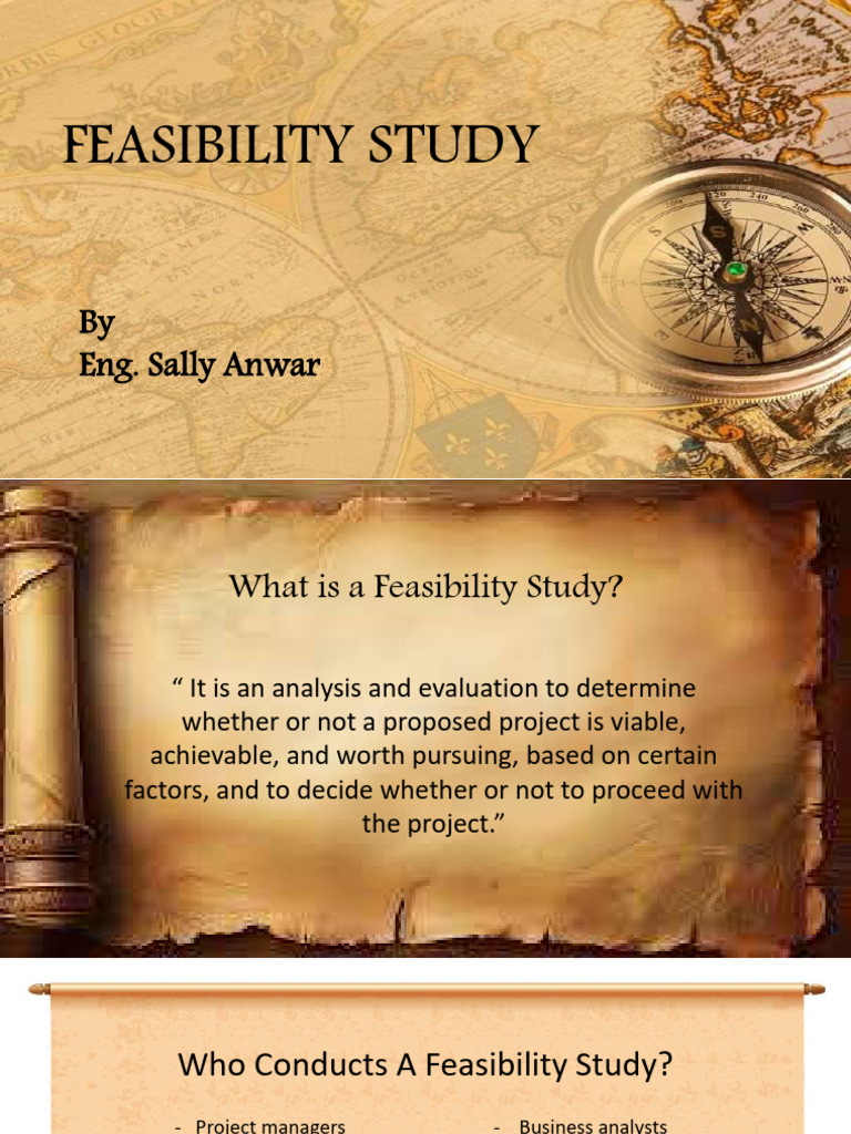 Comprehensive Guide to Feasibility Studies | PDF | Net Present Value ...