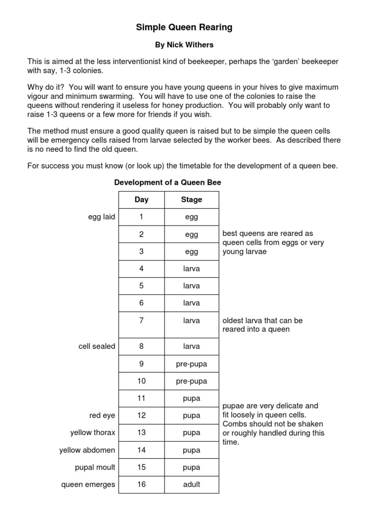 Simple Queen Rearing | PDF | Beehive | Beekeeping