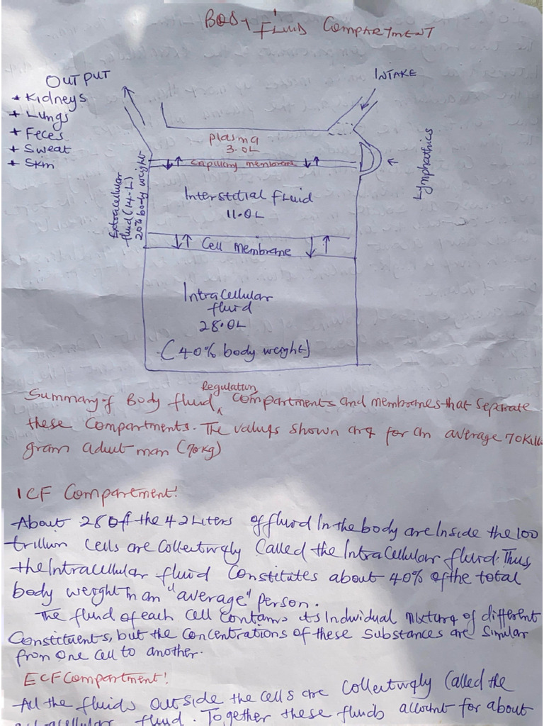 Sisters Note On Body Fluid | PDF