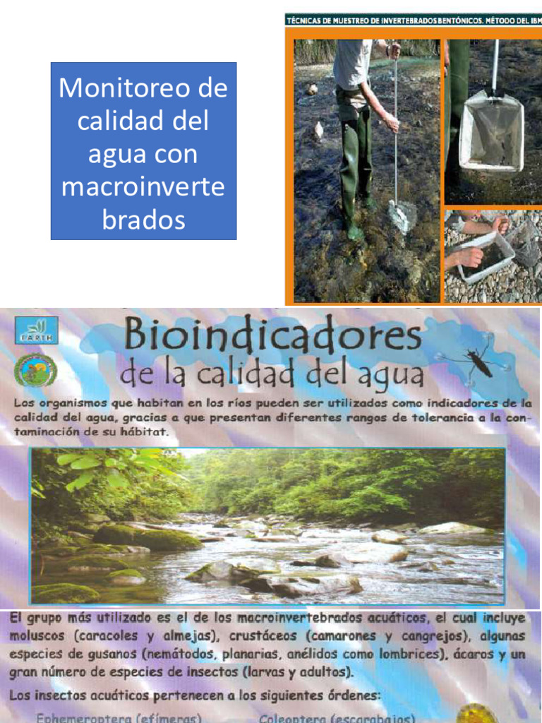 Macroinvert 2019 | PDF