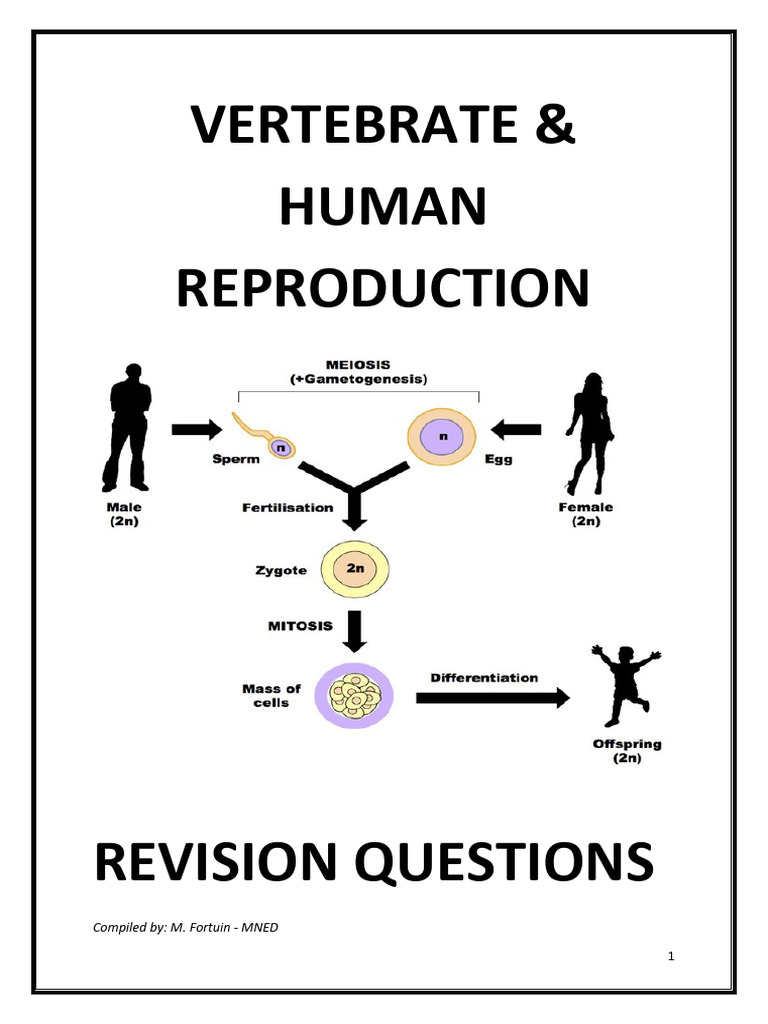 Vertebrate Human Reproduction Guide | PDF | Fertilisation ...