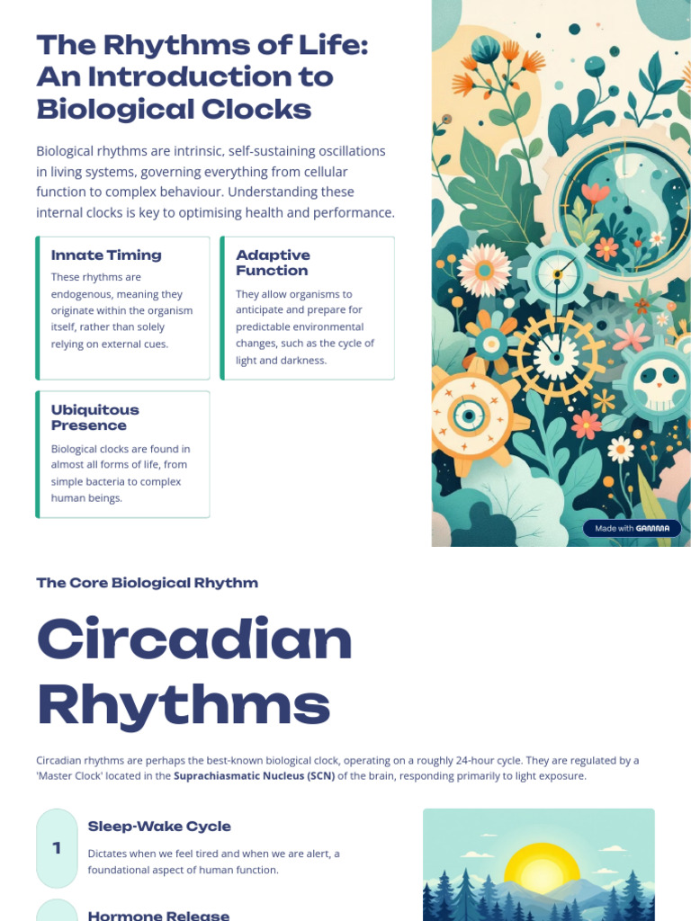 The Rhythms of Life An Introduction To Biological Clocks | PDF ...