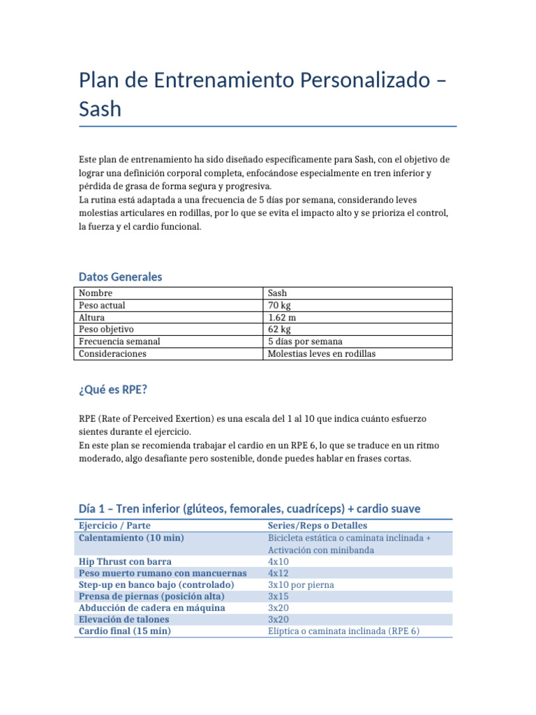 Plan Entrenamiento Completo Sash | PDF