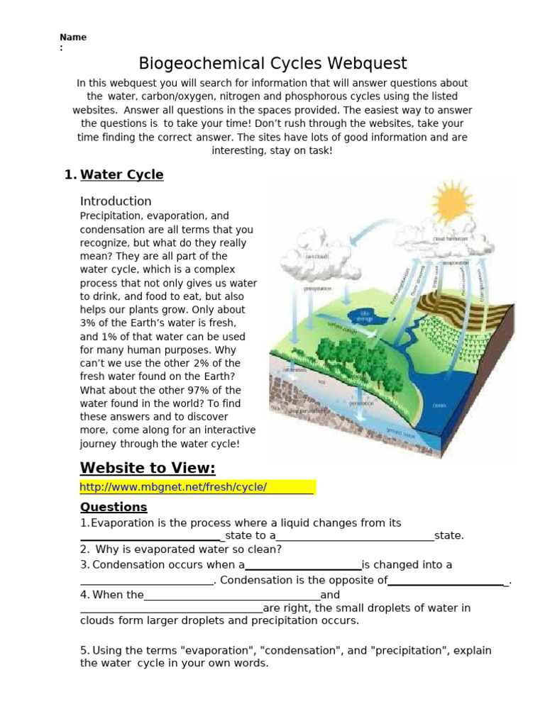 Biogeochemical Webquest | PDF | Carbon Dioxide | Ammonium