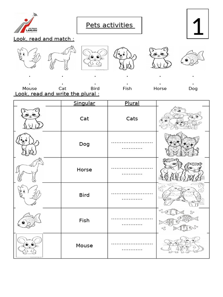 Pets Activities | PDF
