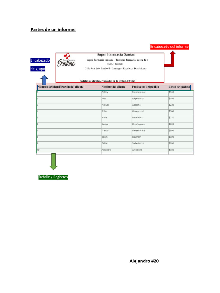 Partes de Un Informe | PDF