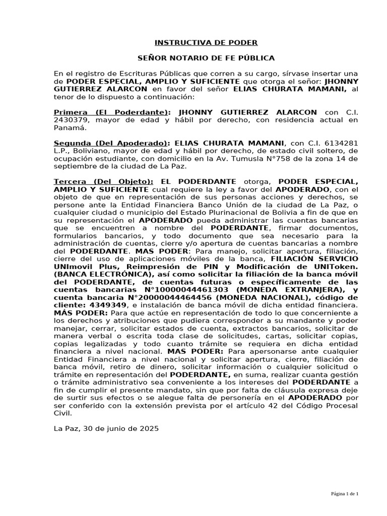 Instructiva de Poder Lunes | PDF | Bancos