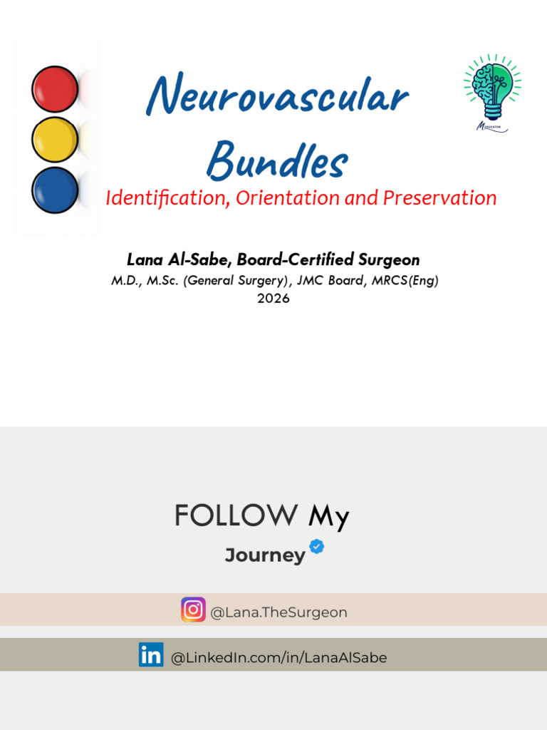 Neurovascular Anatomy Overview | PDF | Vein | Common Carotid Artery