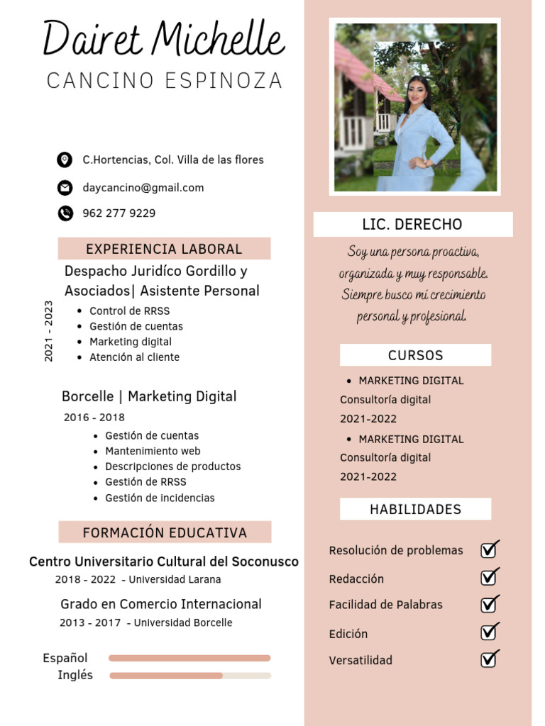 C.V Dairet Michelle Cancino Espinoza | PDF