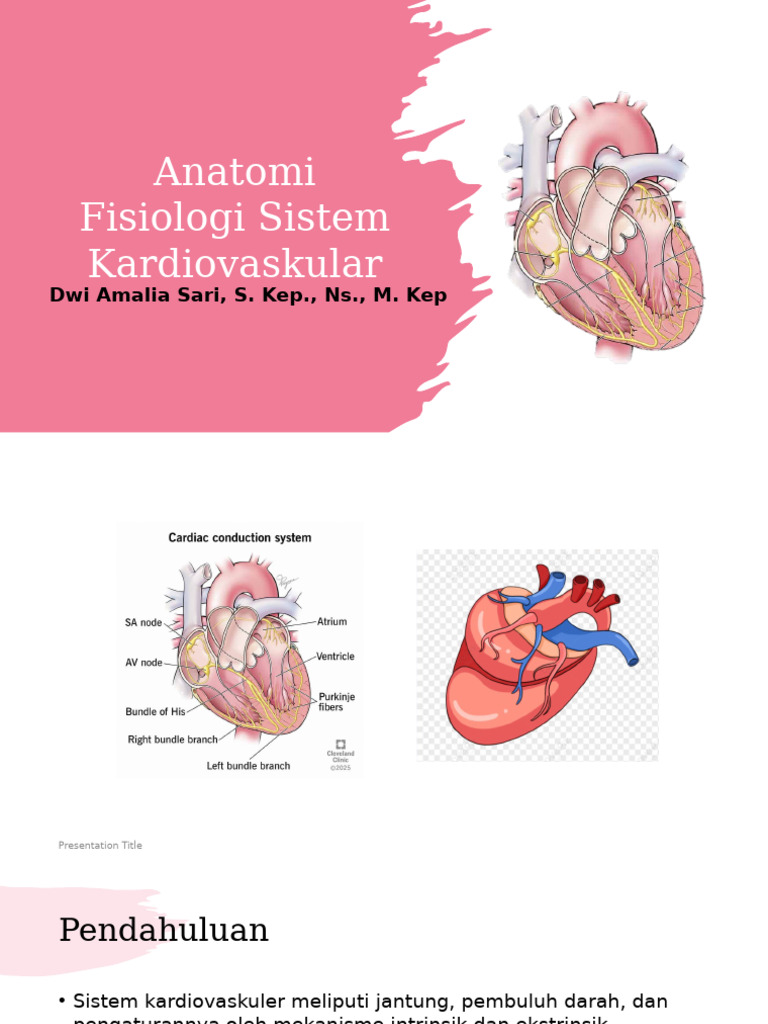 Anatomi Fisiologi Sistem Kardiovaskular | PDF
