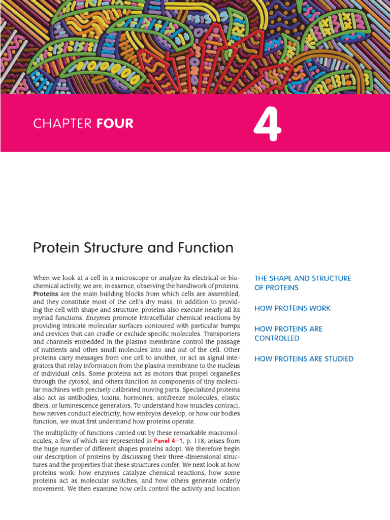 ECB Ch. 4 - Protein Structure & Function | PDF