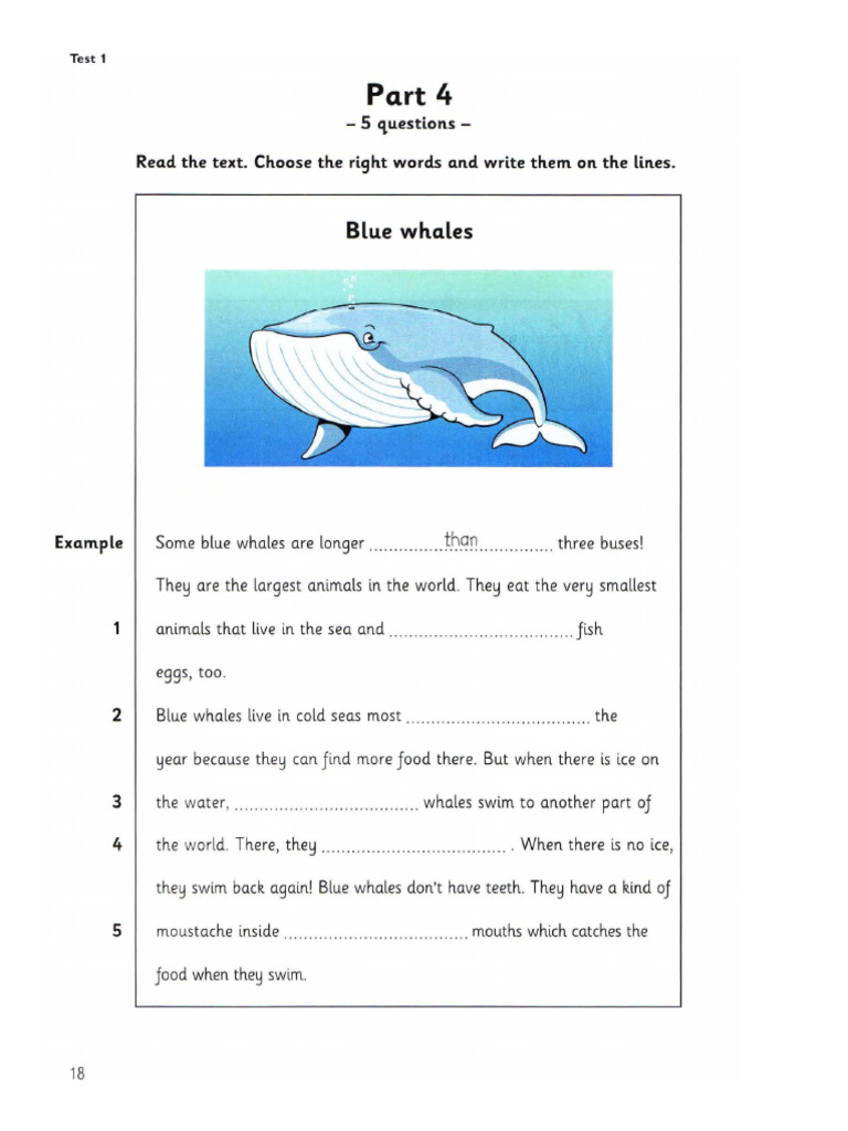 Cambridge English Movers 2 SB | PDF