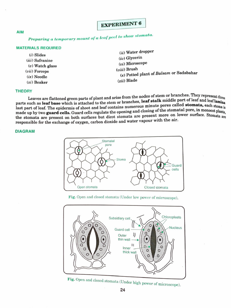 List of Biology Experiments For Grade 10 | PDF