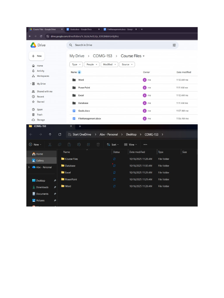 File Management | PDF