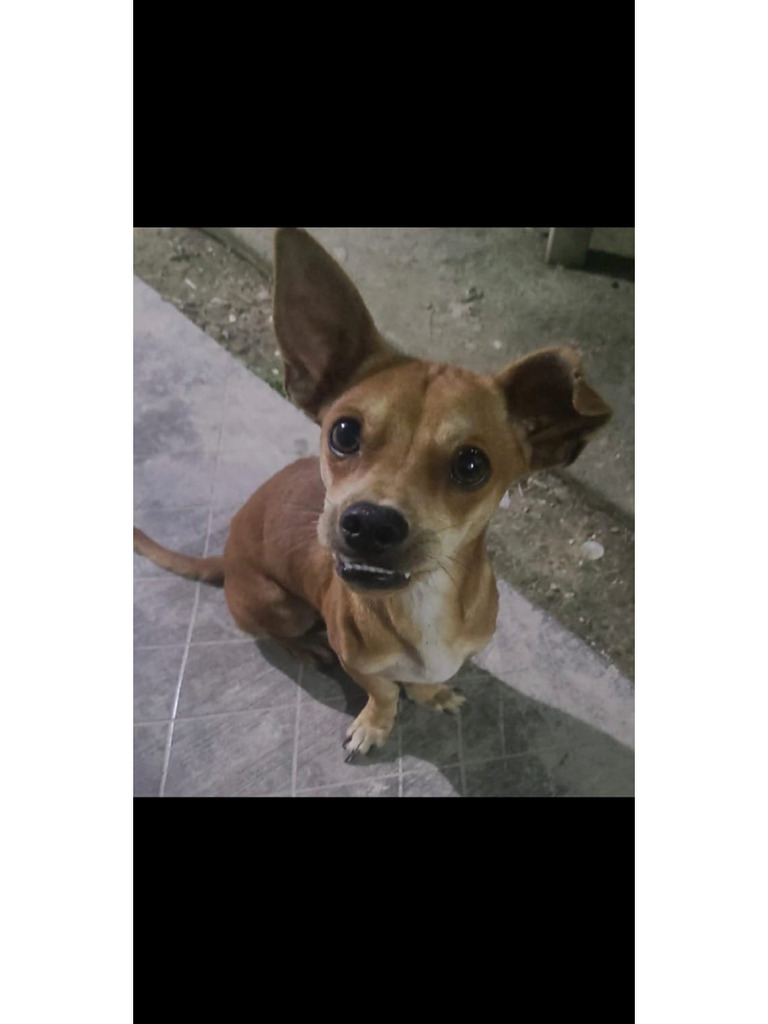 Image To PDF 20251026 22.24.36 | PDF