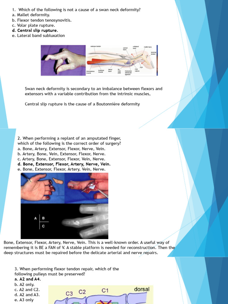 Orthopedic Surgery: Key Concepts and Procedures | PDF | Knee ...