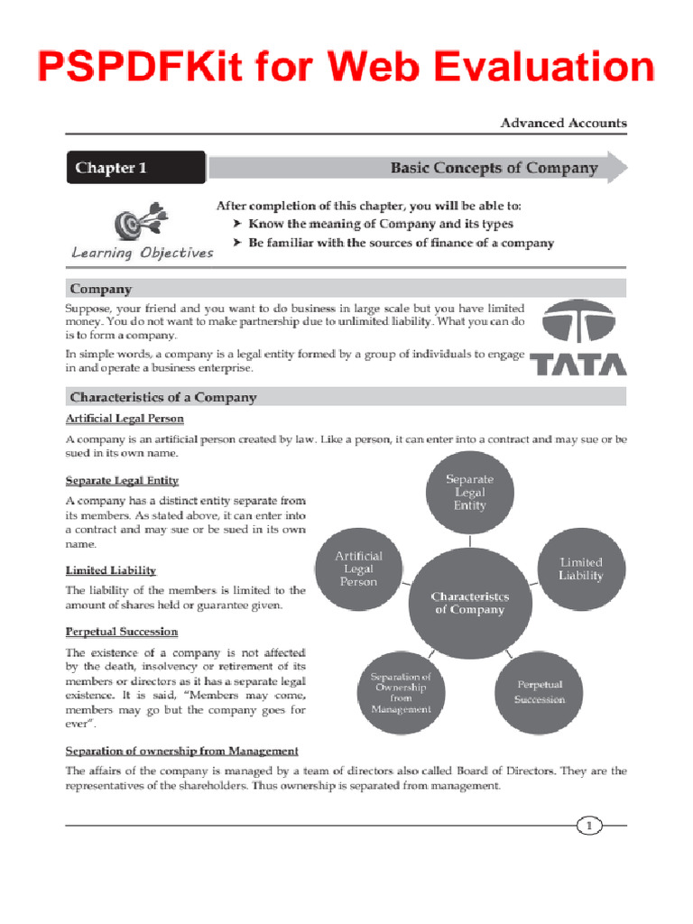 Chapter 1 - Basic Concepts of Company | PDF