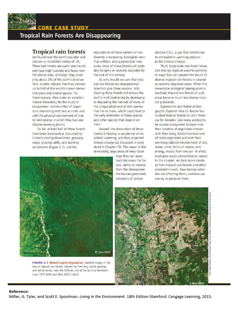 Activity 2 Case Study Tropical Rain Forest Are Disappearing | PDF