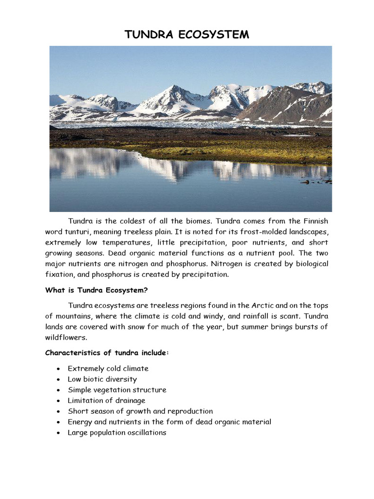 11-TUNDRA-ECOSYSTEM | PDF | Ecosystem | Arctic